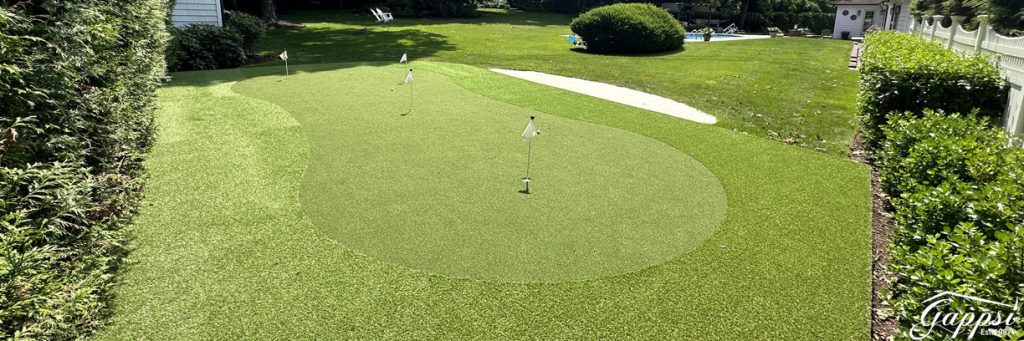 Transforming Backyards with a Custom Putting Green Sports Game Court in ...